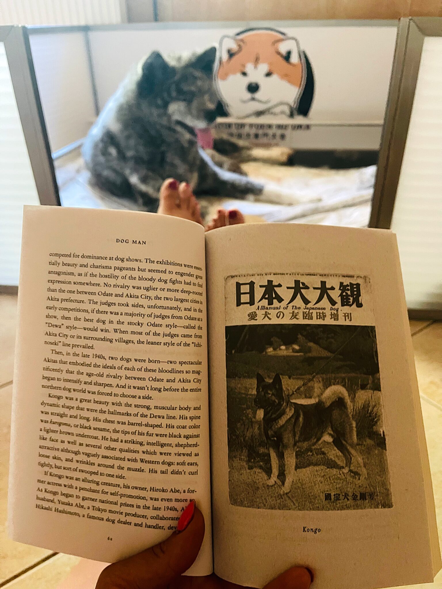 History of Akita Inu – Fuen No Oka